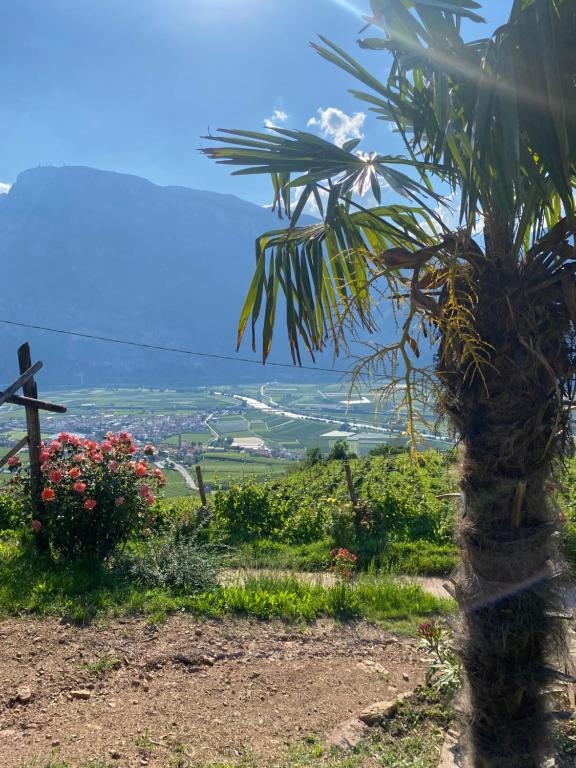 Agritur Chalet Belvedere, Giovo (updated prices 2024)