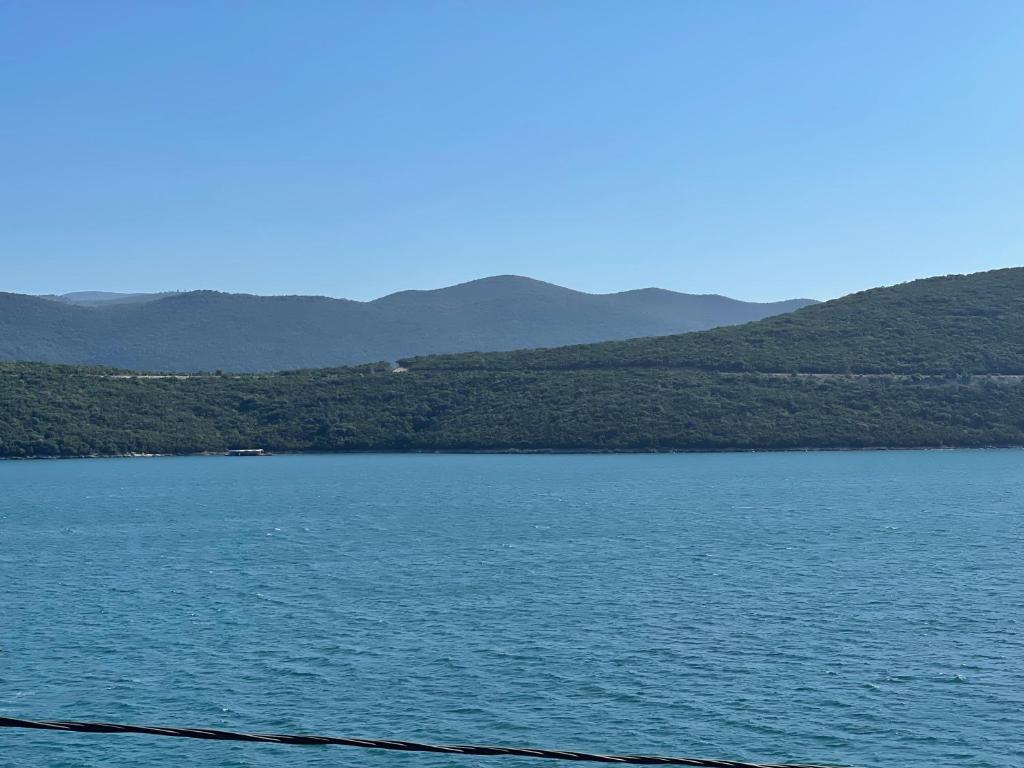 Neum Neum Updated Prices 2024