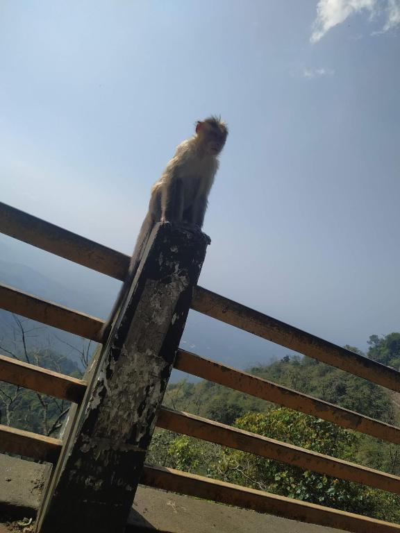 Aramana, Vythiri (precios actualizados 2025)