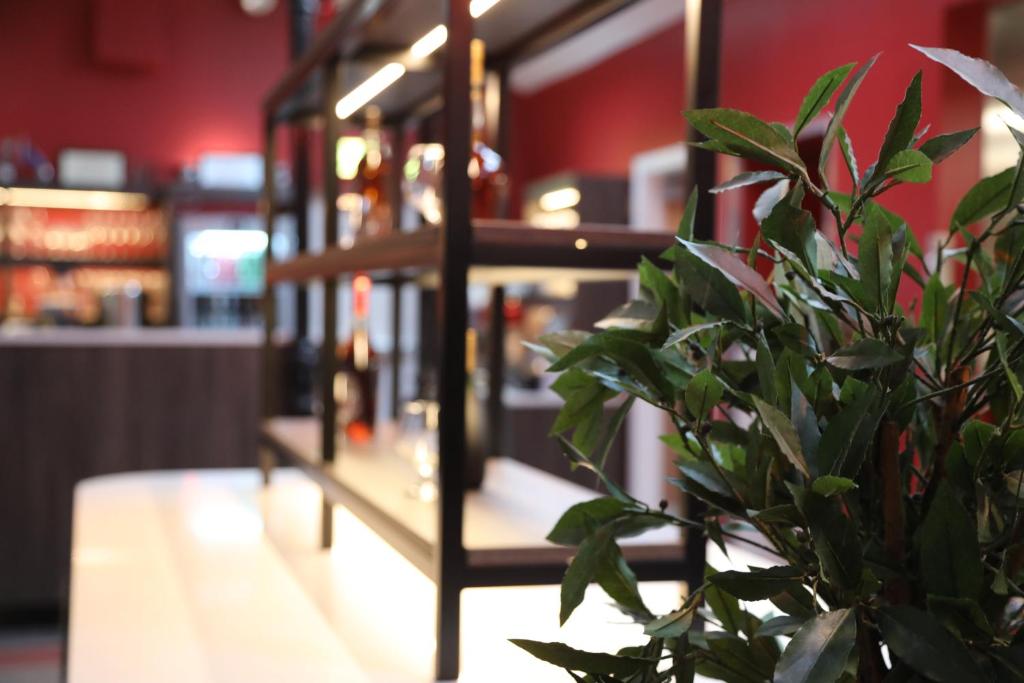 Malvina House Hotel, Stanley (updated prices 2025)