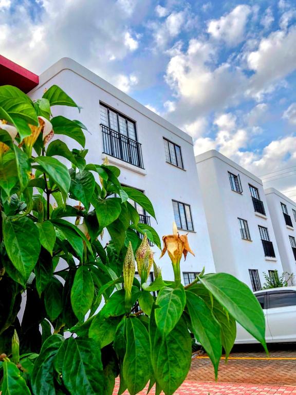 The House Beautiful, Tatu City, Tatu City (updated prices 2026)