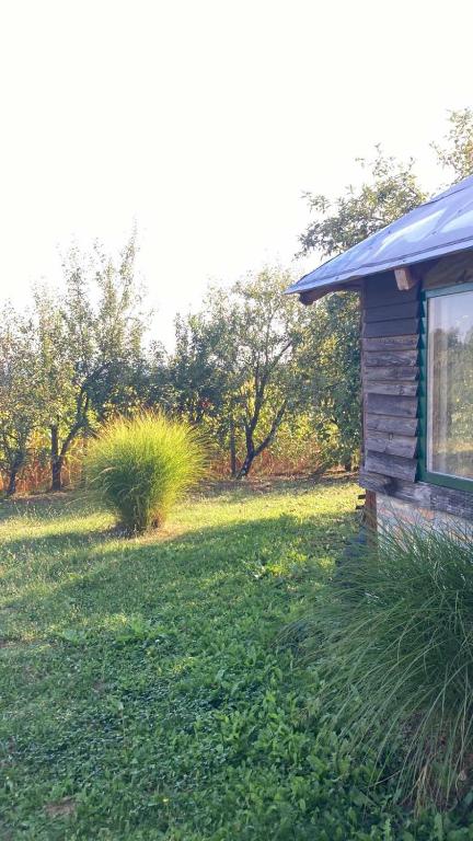 Vujic, Popadić (2025년 최신 요금)