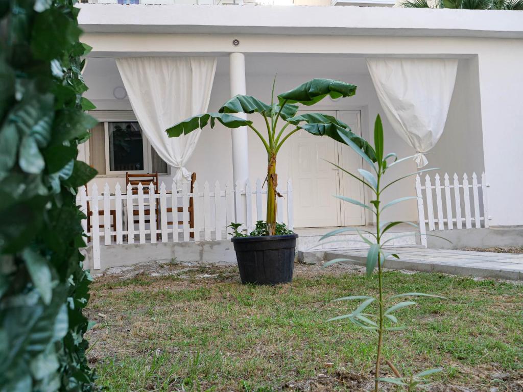 Brielle's House, Vlorë (precios actualizados 2024)