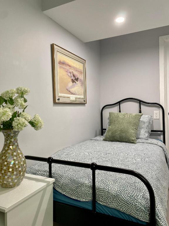 Newly renovated Elephant Suite rooms close to banff and business center ...