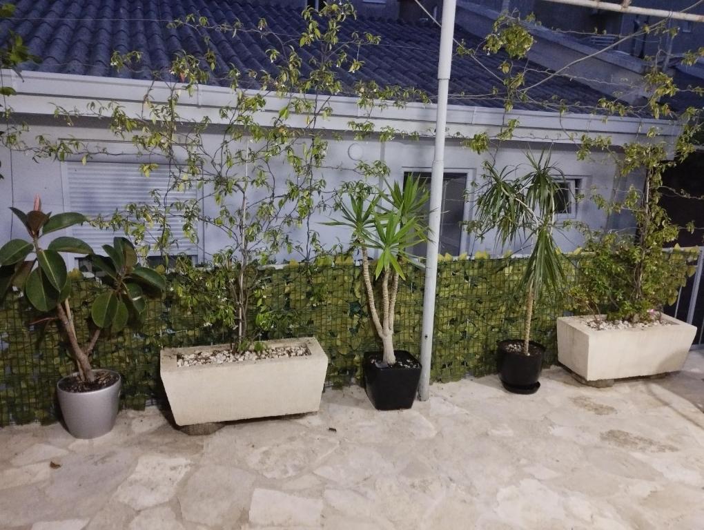 Milica Soba sa kupatilom 2, Petrovac na Moru (updated prices 2024)