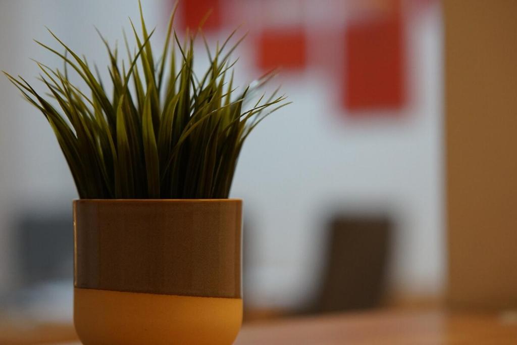 City Center Nook Rooms, Viena (precios actualizados 2025)