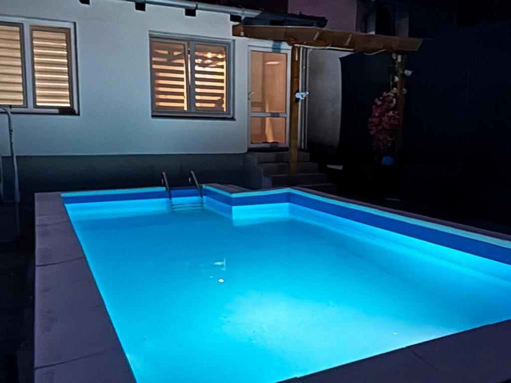 Fenix 1, Belgrade (updated prices 2024)