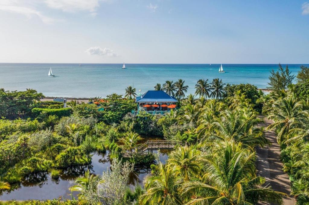Sea Shells, Nassau (updated prices 2025)