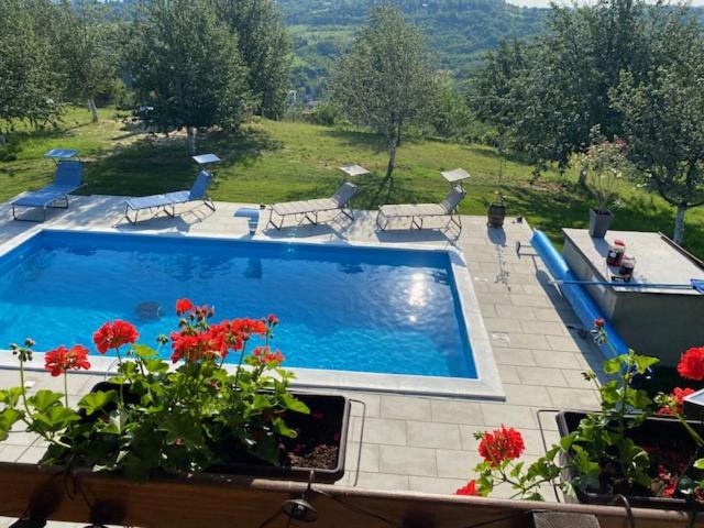 Artemis, Novi Sad (updated prices 2025)