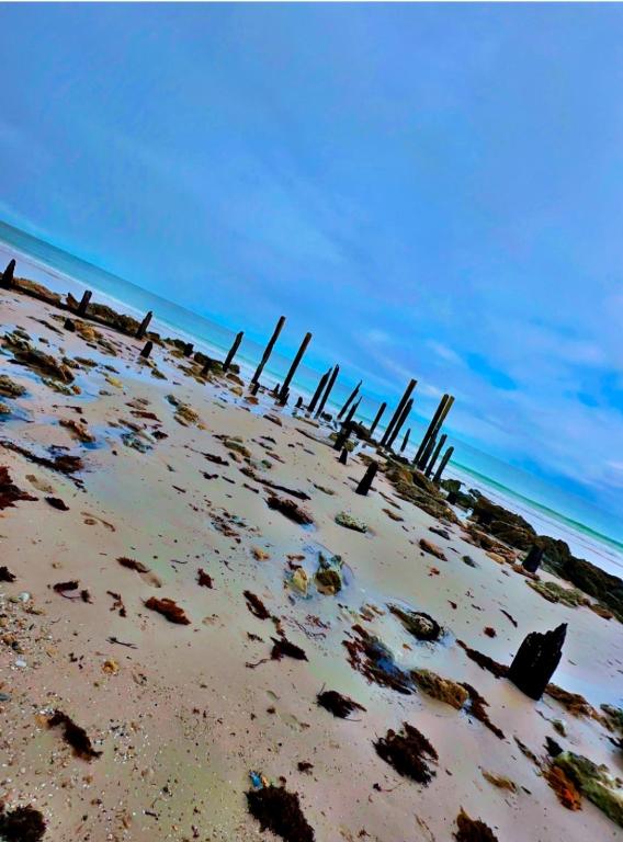 Decades, Port Willunga (updated prices 2025)