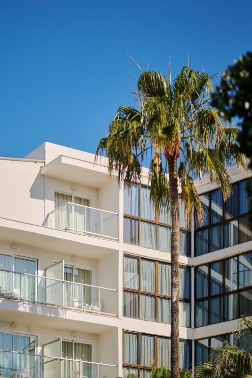 Alua Boccaccio, Port d'Alcudia (updated prices 2025)