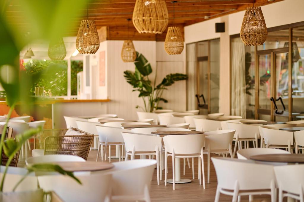 Alua Boccaccio, Port d'Alcudia (updated prices 2025)