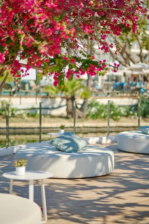 Alua Boccaccio, Port d'Alcudia (updated prices 2025)