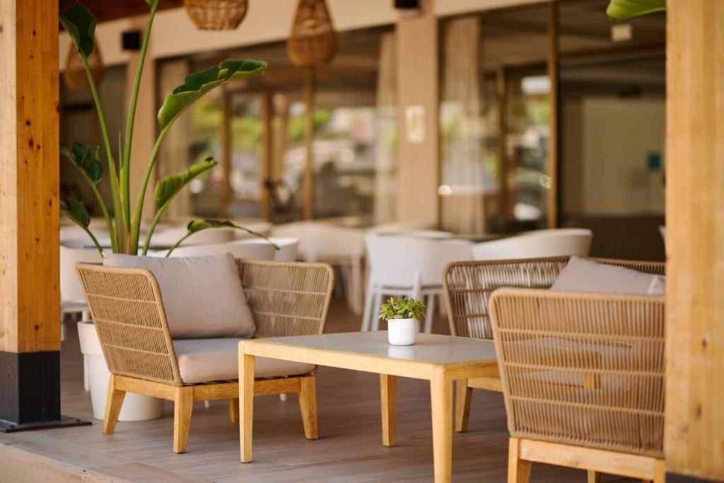 Alua Boccaccio, Port d'Alcudia (updated prices 2025)