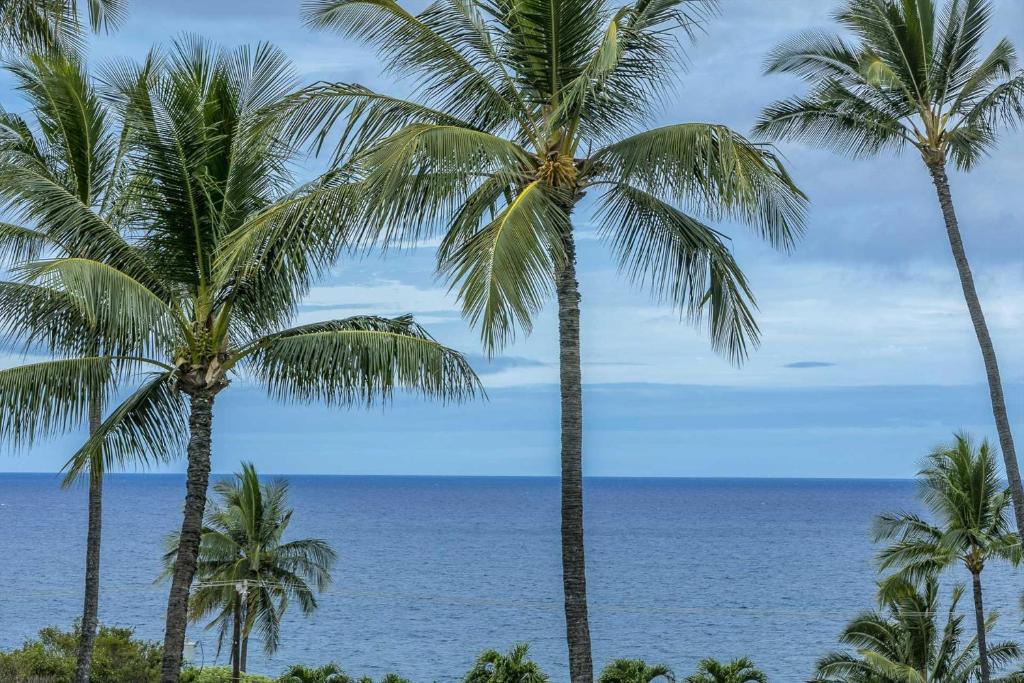 Kihei Akahi Resort - Unit C505, Wailea (updated prices 2024)