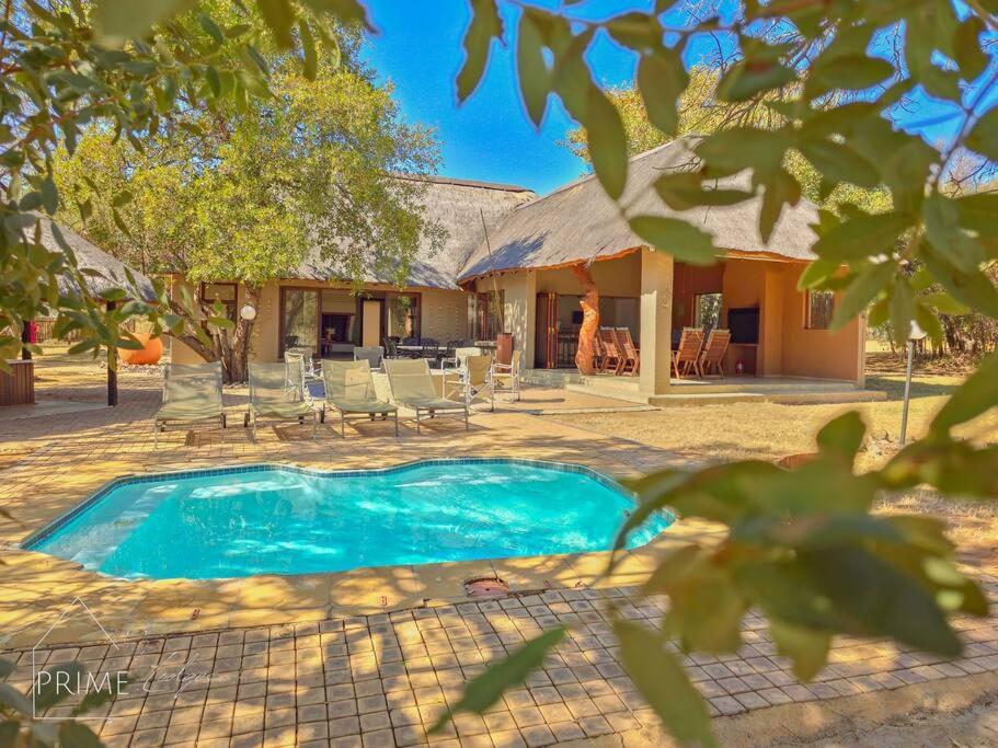 Bush Baby at Zebula, Mabula (updated prices 2025)