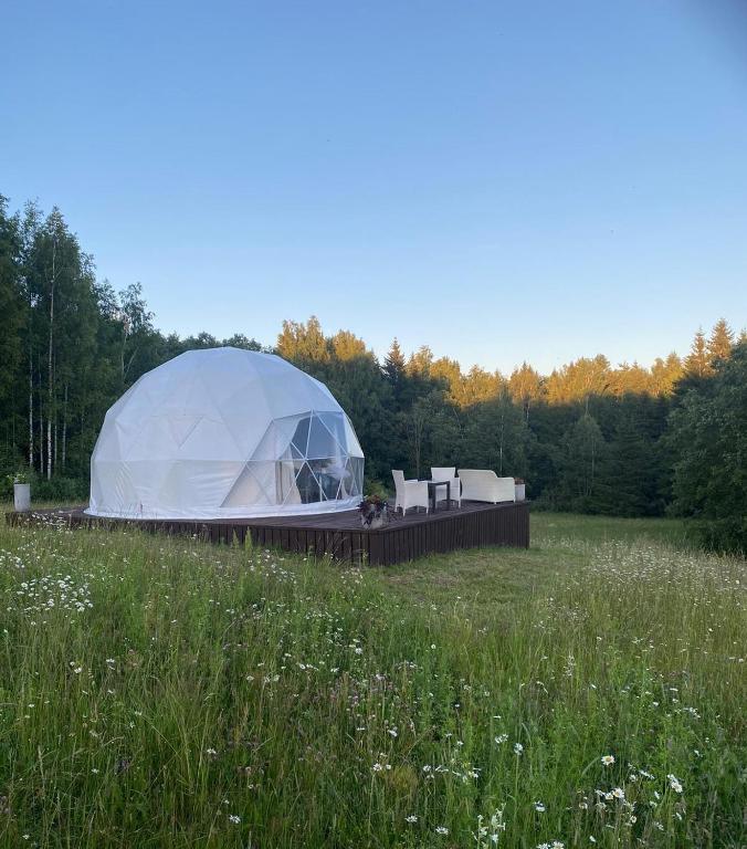 Nature 1, Vecpiebalga (updated prices 2026)