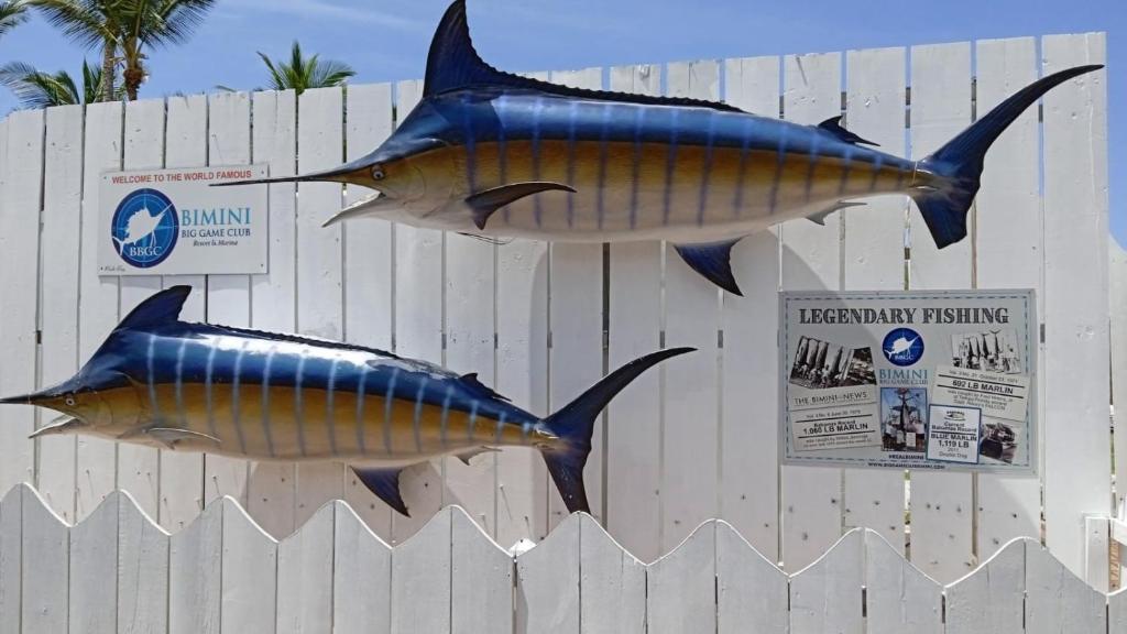 Bimini Big Game Club Resort & Marina, Alice Town (updated prices 2025)