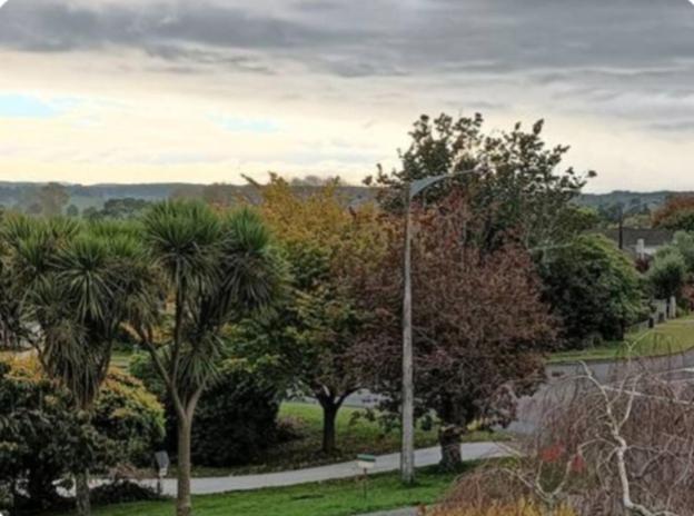 Rest and Relax, Putaruru (updated prices 2025)