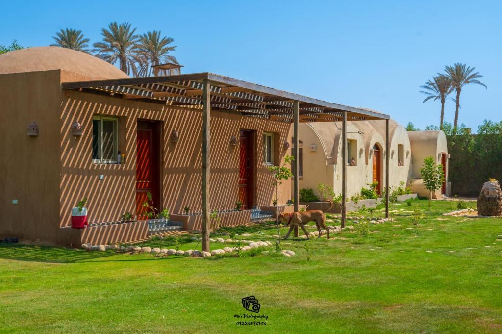 Sun Temple Guest House, Cairo (updated prices 2024)