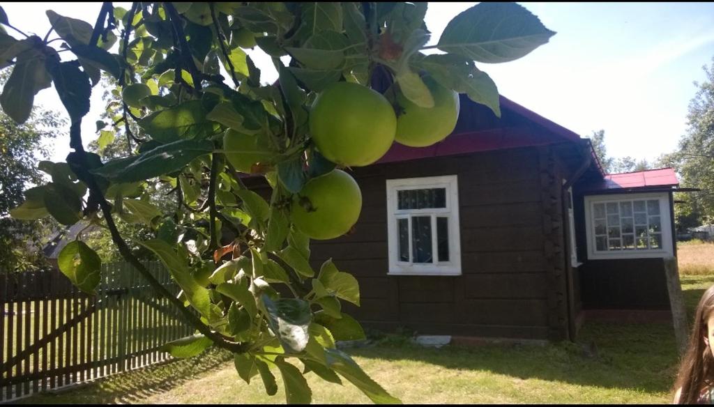 Sielski Kulików, Kulików (updated prices 2025)