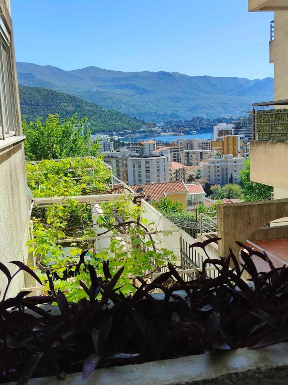 Cozy Apartment at Babin Do, Budva (updated prices 2025)