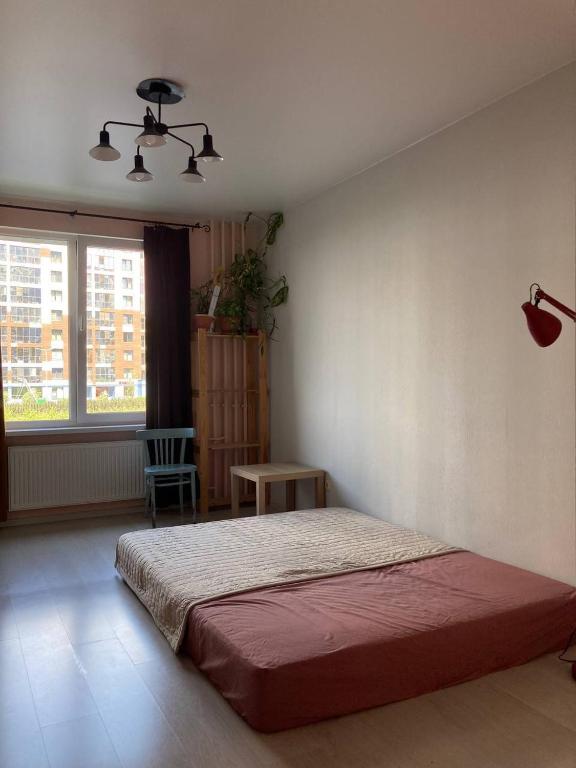 Piter's House, Guarda (updated prices 2025)