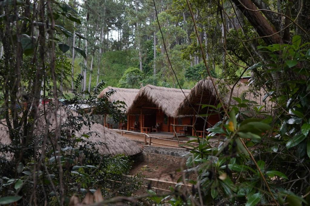 Gaga Bees Ella, Ella (updated prices 2025)