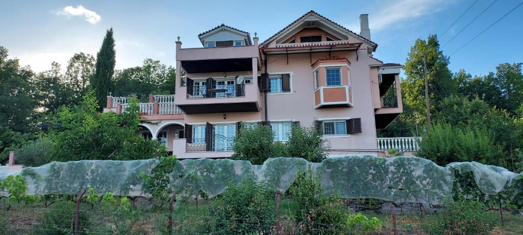 Among The Vines, Zítsa (precios actualizados 2026)