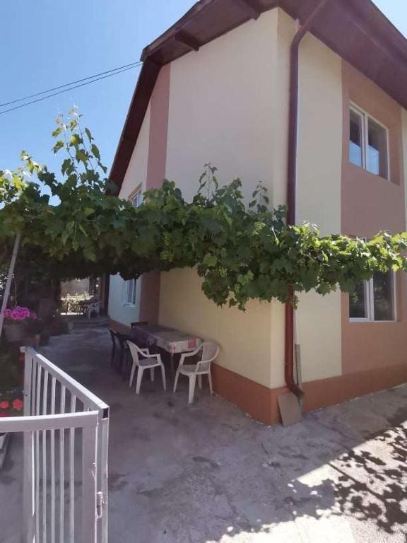 Studia Daniel-Pestani, Peštani (aktualisierte Preise für 2025)