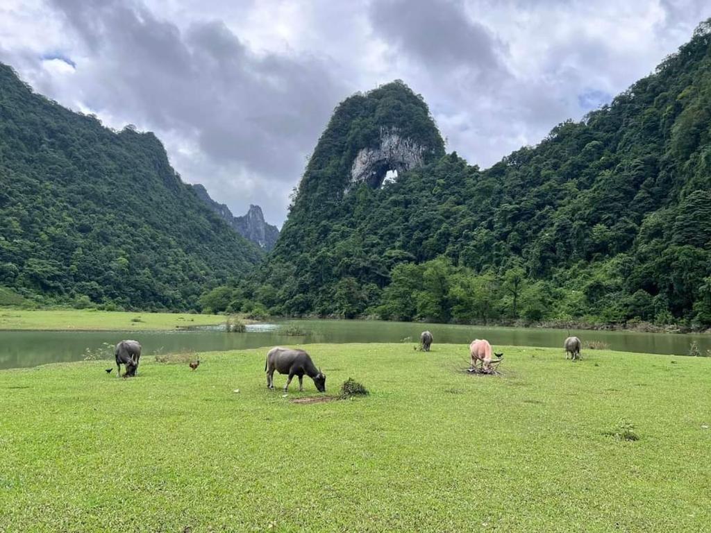 Cao Bang Loop Homestay - Camping & Daily Trekking Tour i Thăng Hen ...
