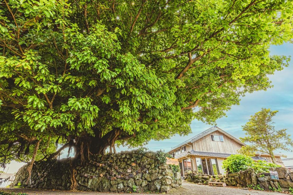 ako house, Goto (updated prices 2025)