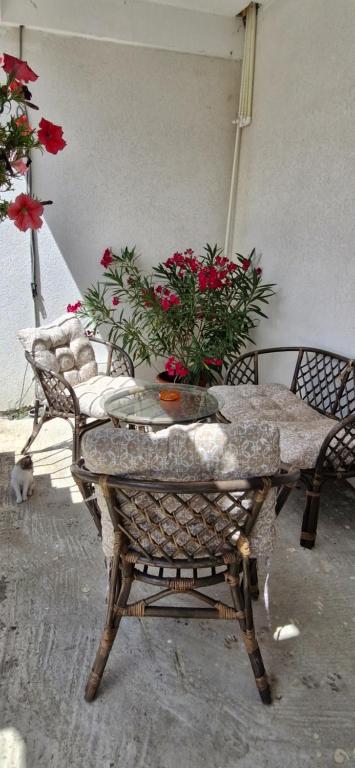 Alex și Maria, 2 Mai (updated prices 2025)