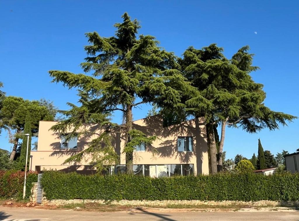 Valdora luxury villa with pool, Novigrad Istria (precios actualizados 2025)