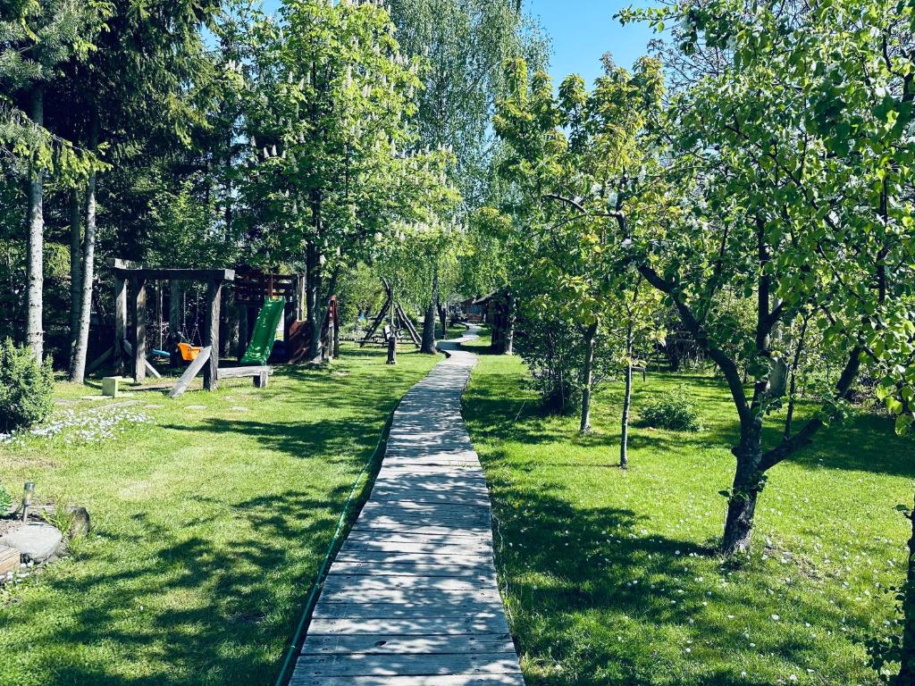 7 Stron Świata, Augustavas (atnaujintos 2025 m. kainos)