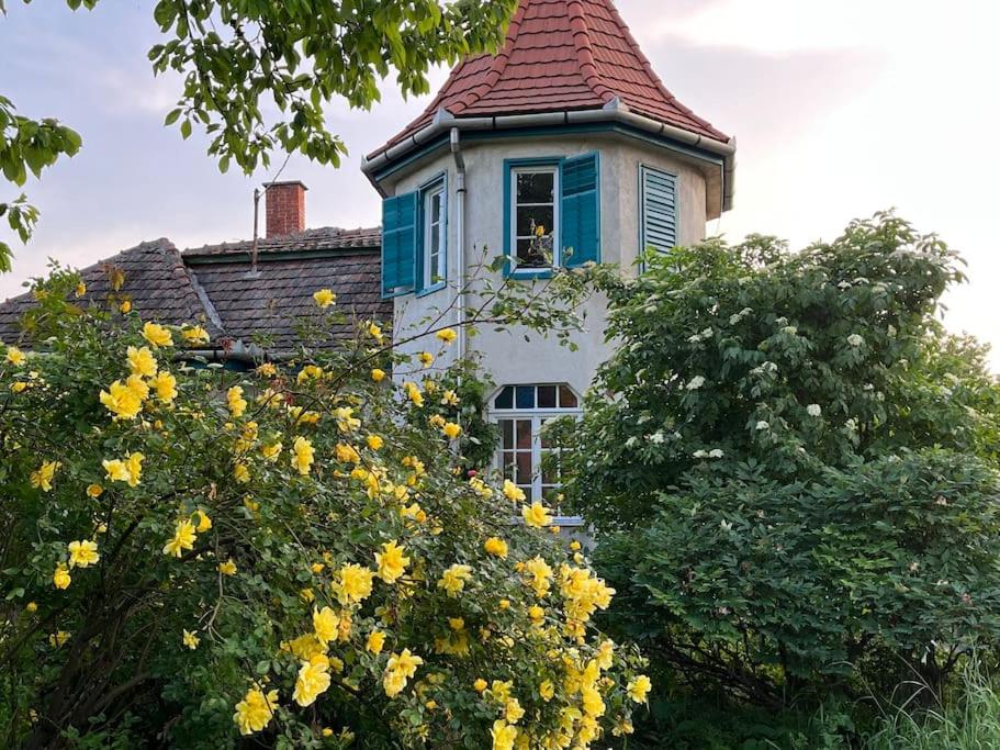 Romantic Old Mansion at lake Balaton, Balatonalmádi (updated prices 2025)