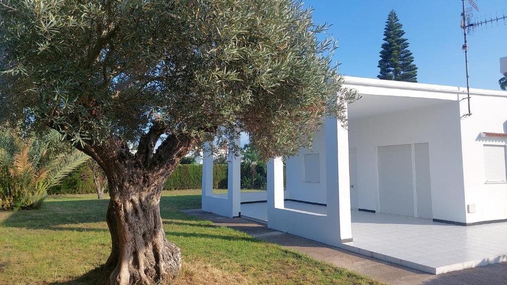 Ca Teresa, Oliva (updated prices 2025)