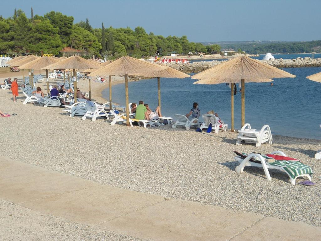 TATJANA Ap2, Antenal (aktualisierte Preise für 2026)