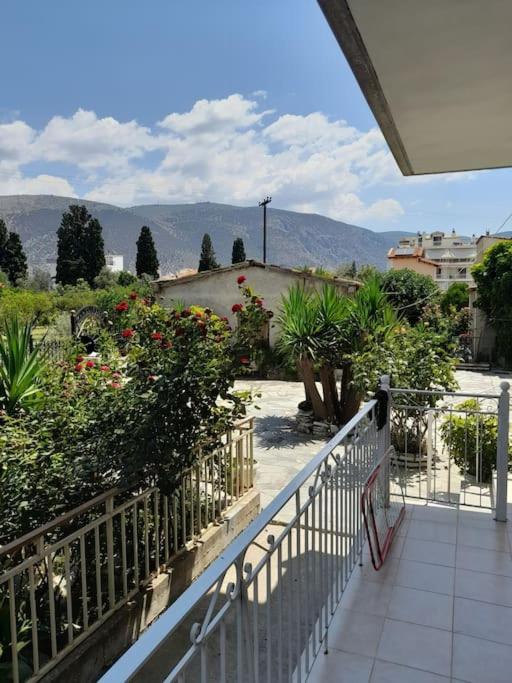 Ομορφο νεο στουντιο στην πολη της Ιτεας, Itea (updated prices 2026)