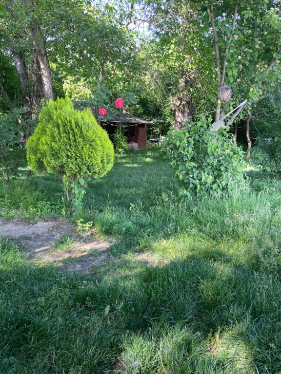 Casa Maya, Zimnicea (precios actualizados 2025)