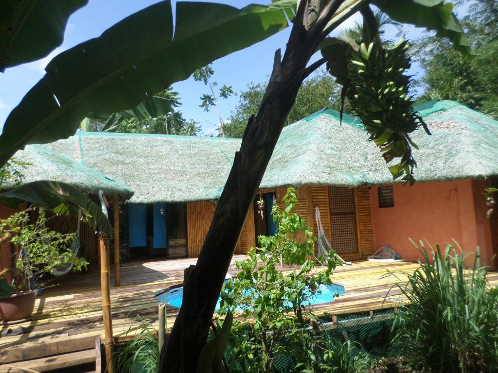 Paro-paro bamboo guesthouse OFF, Pila (updated prices 2025)