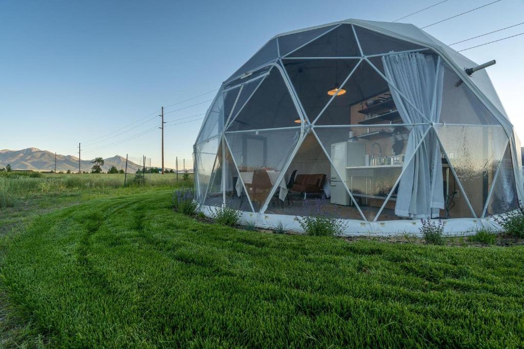 Dome #3, Livingston (updated prices 2025)