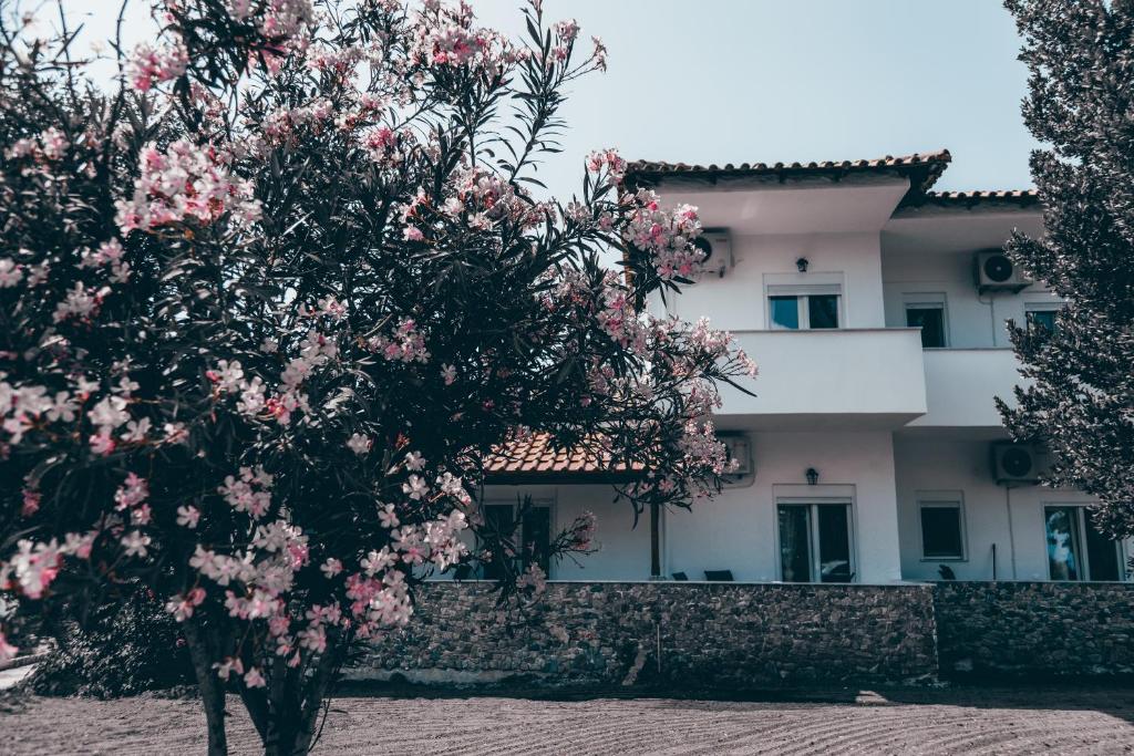 Villa Theano 2, Toroni (updated prices 2025)