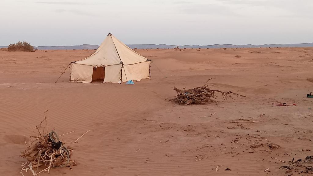 Nomadic experience, Mhamid (updated prices 2025)