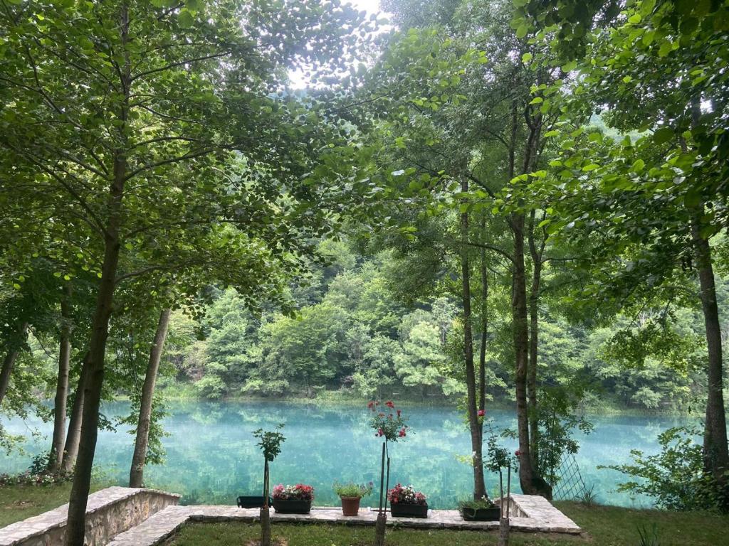 Holiday Home UnaPark, Krakovo (updated prices 2025)