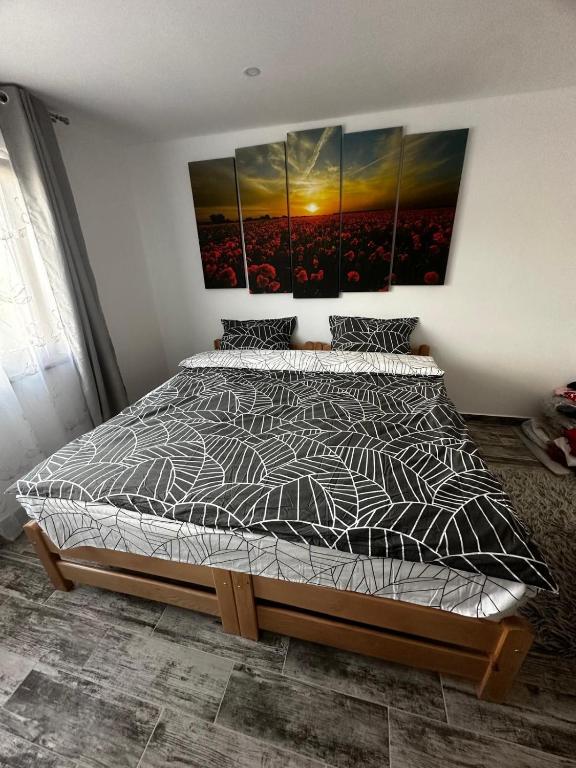 Hidden Room, Ciba (updated prices 2026)