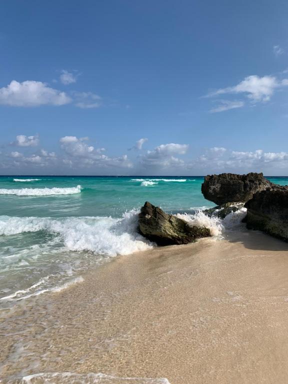 Paseo xaman ha, Playa del Carmen (updated prices 2026)