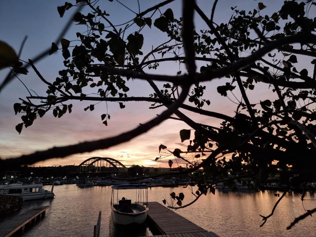 The Halyards Hotel & Spa, Port Alfred (updated prices 2025)