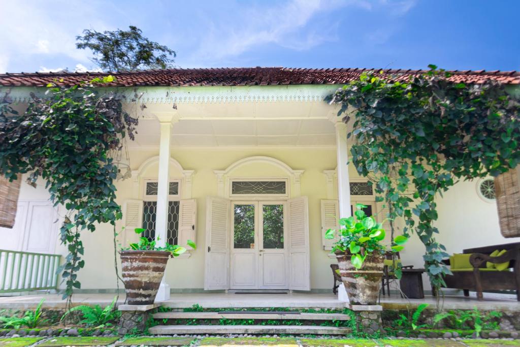 Villa Moya Borobudur, Mendut (updated prices 2025)