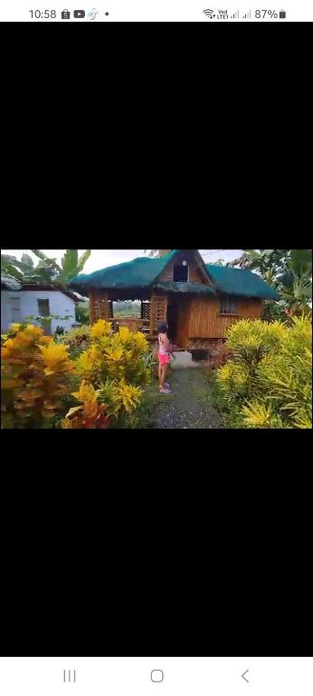 Michelle Hut, Moalboal (aktualne ceny na rok 2024)